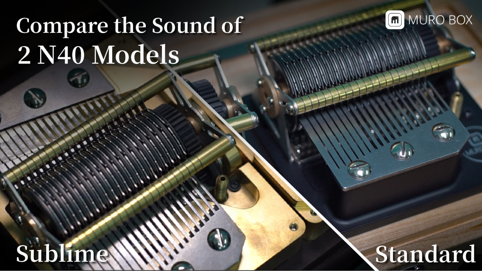Muro Box-N40 | Comparing the Sound of Sublime vs. Standard with "My ...