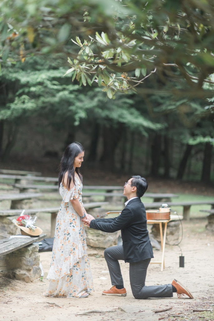 Daniel’s Successful Proposal: Let Customized Music Box Melodies Speak ...
