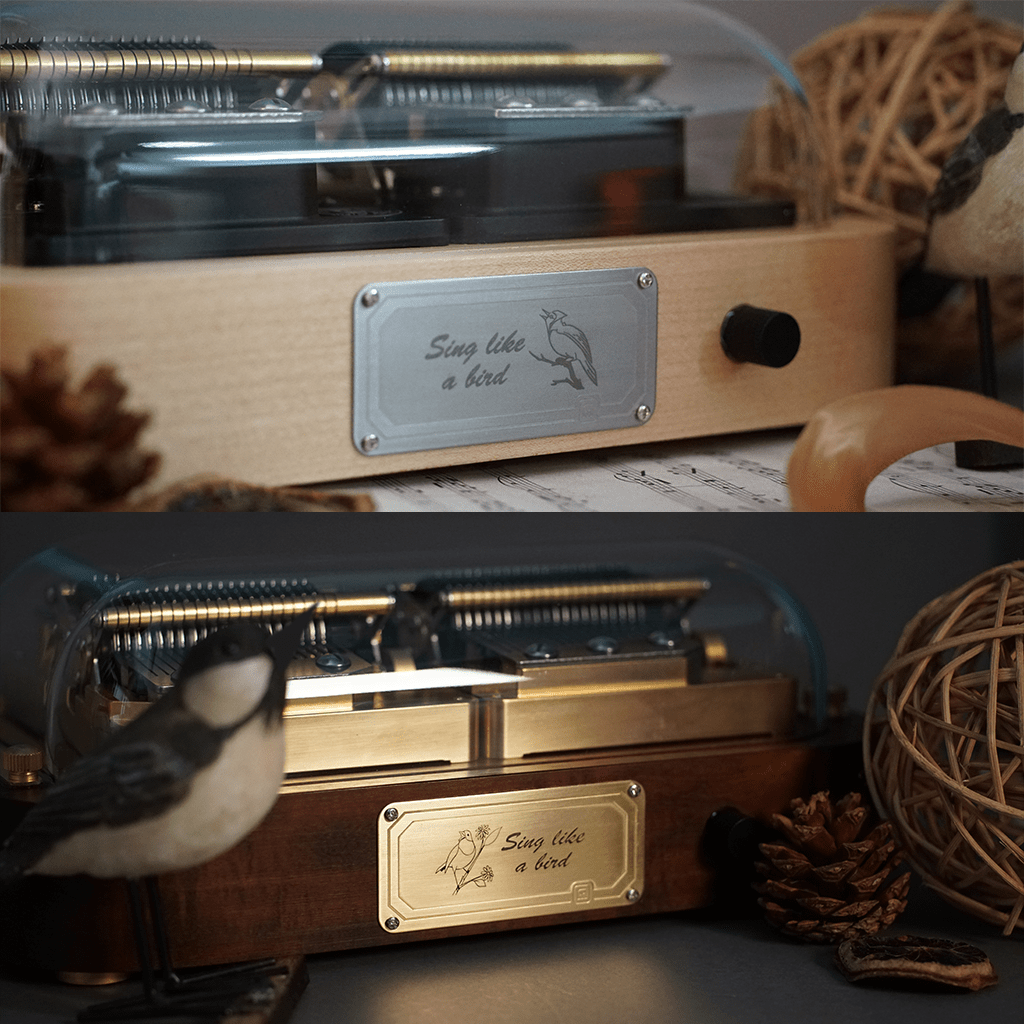 Hanneke Debie-Turning My Collection of Paper-Strip Music Box Melodies ...